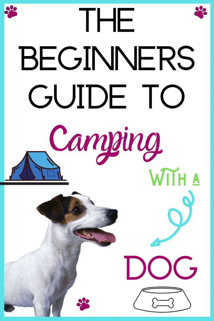 Camping with a Dog: A Beginner's Guide to Camping